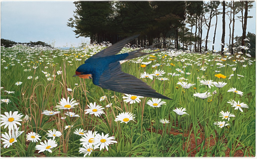 Wildlife « Subject « Andrew Gordon Moore Fine Artist