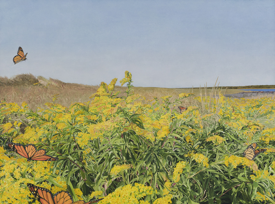 Wildlife « Subject « Andrew Gordon Moore Fine Artist