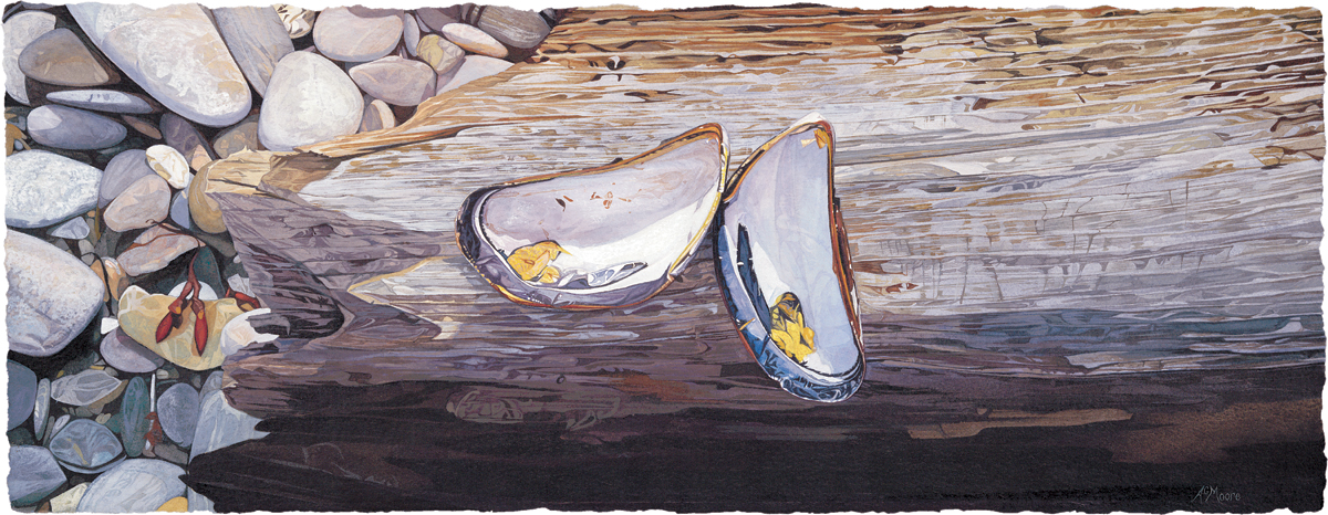 Mussel Shells Print « Andrew Gordon Moore Fine Artist
