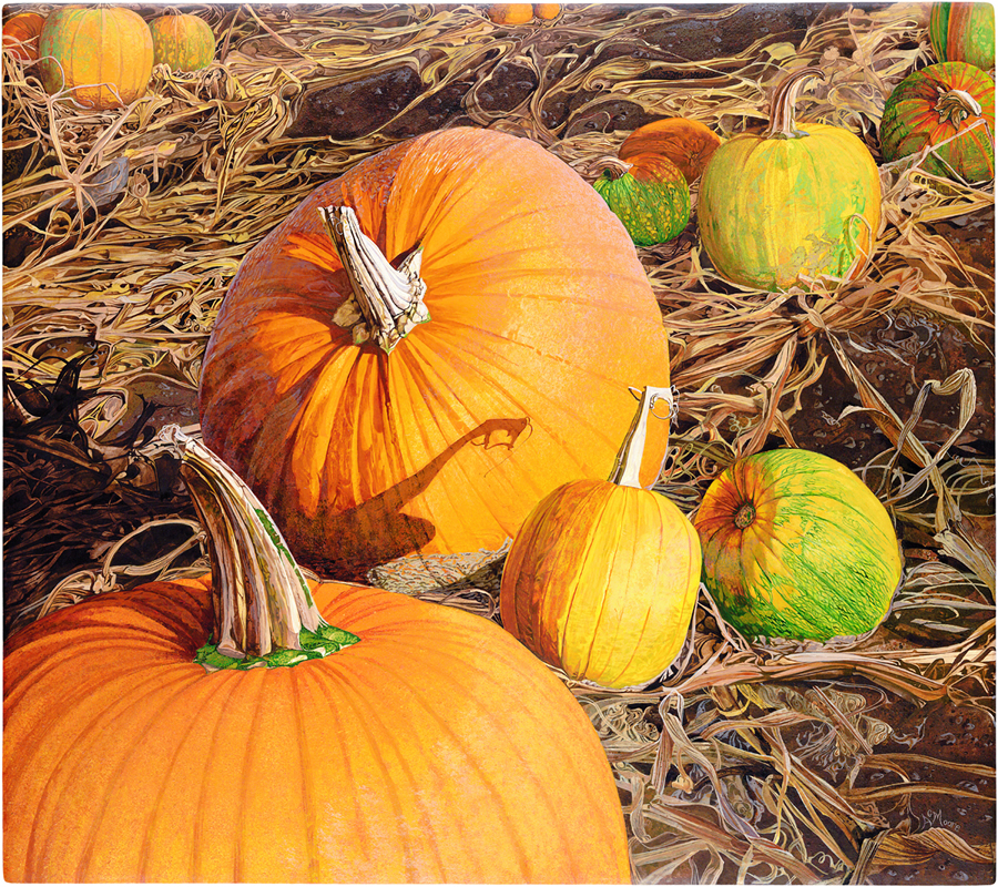 Pumpkins « Andrew Gordon Moore Fine Artist
